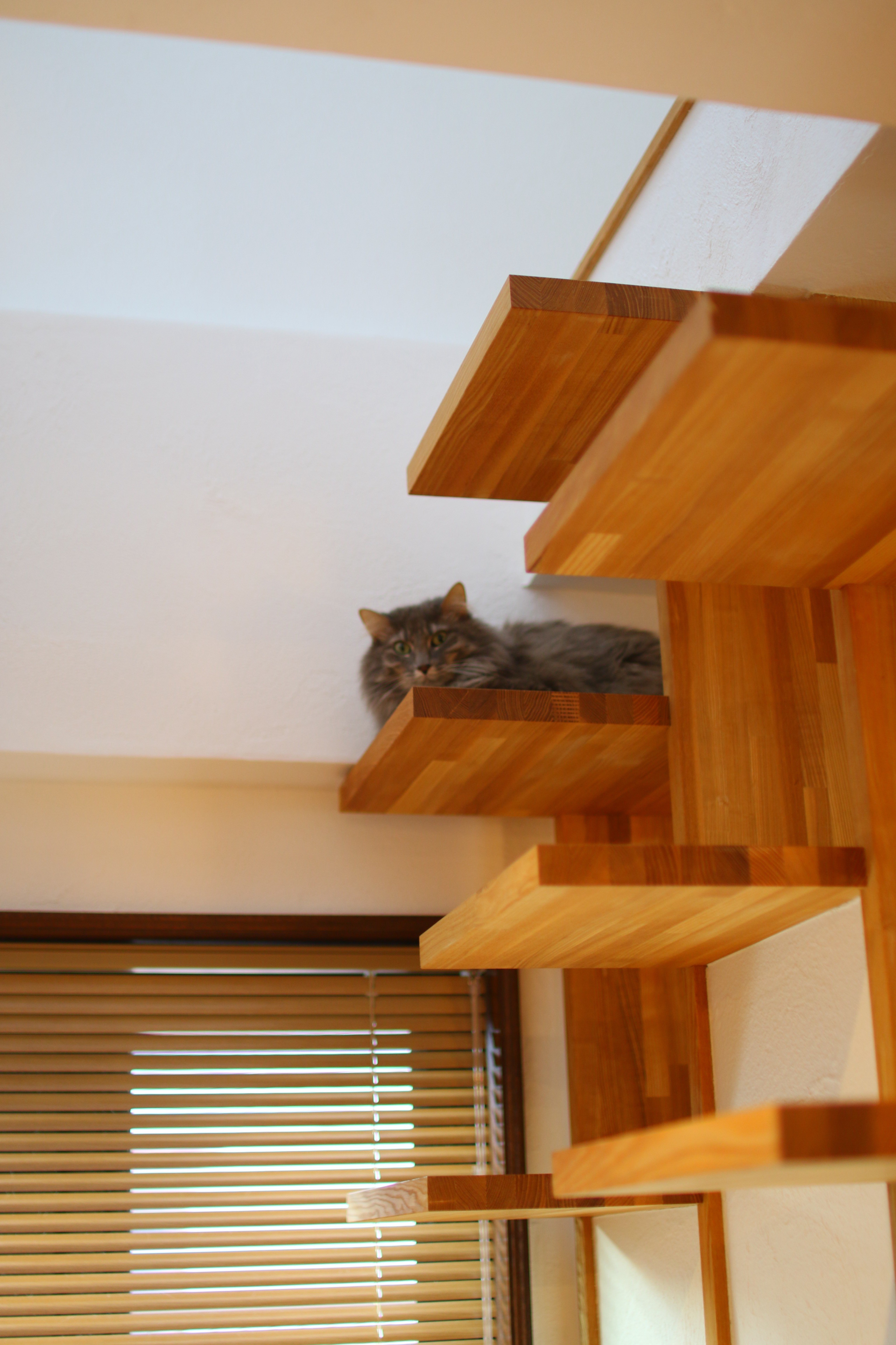 HILL TOP猫の家リノベーション 〜共働き夫婦と猫の家〜 - 戸建リノベーション事例｜SUVACO(スバコ)